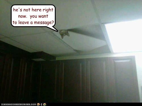 I Can Has Cheezburger? - ceiling cat - Page 5 - Funny Animals Online ...