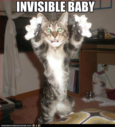INVISIBLE - I Can Has Cheezburger?