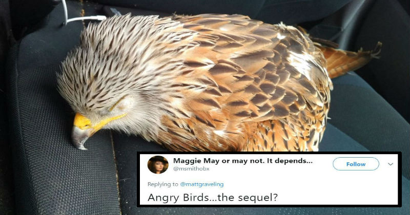 Reporter Is In For A Surprise After Rescuing An Unconscious, Injured ...