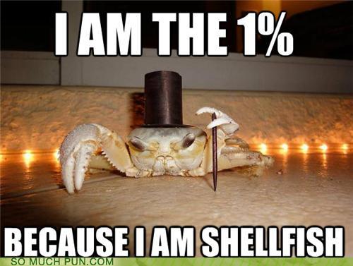 Puns - shellfish - Funny Puns - Pun Pictures - Cheezburger