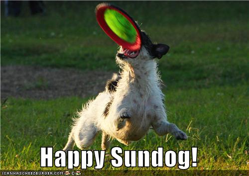 Happy Sundog! - I Has A Hotdog - Dog Pictures - Funny pictures of dogs ...