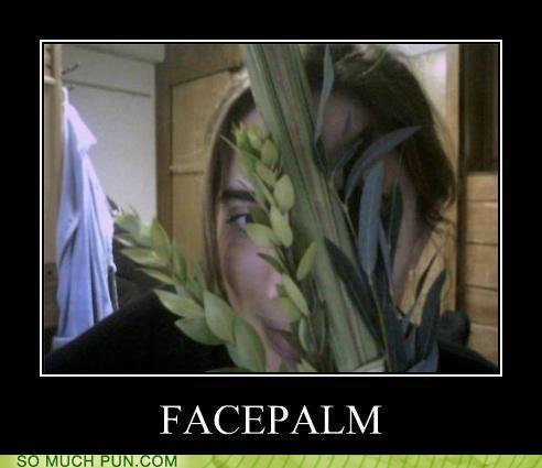 Puns - palm - Funny Puns - Pun Pictures - Cheezburger