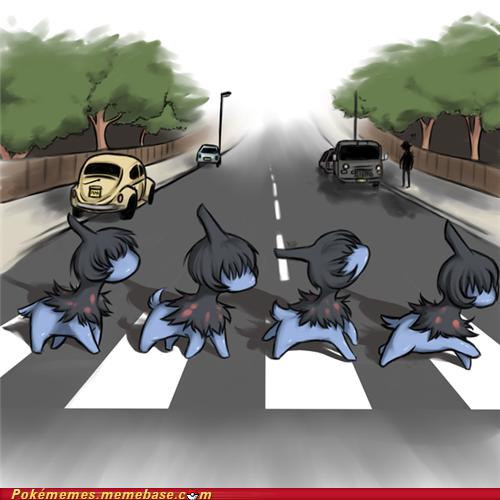 Pokémemes - deino - Pokemon Memes - Pokémon, Pokémon GO - Cheezburger