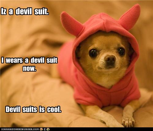 I Has A Hotdog - devil - Funny Dog Pictures | Dog Memes | Puppy ...