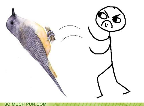 Puns - bird - Funny Puns - Pun Pictures - Cheezburger