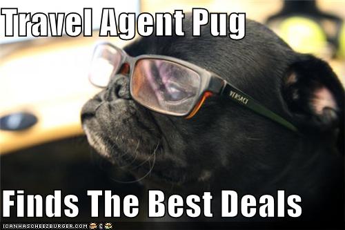 Travel Agent Pug - I Has A Hotdog - Dog Pictures - Funny pictures of ...