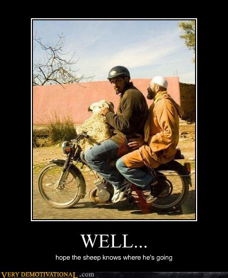 Very Demotivational - motorcycle - Page 2 - Very Demotivational Posters ...