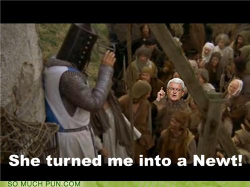 Puns - monty python - Funny Puns - Pun Pictures - Cheezburger