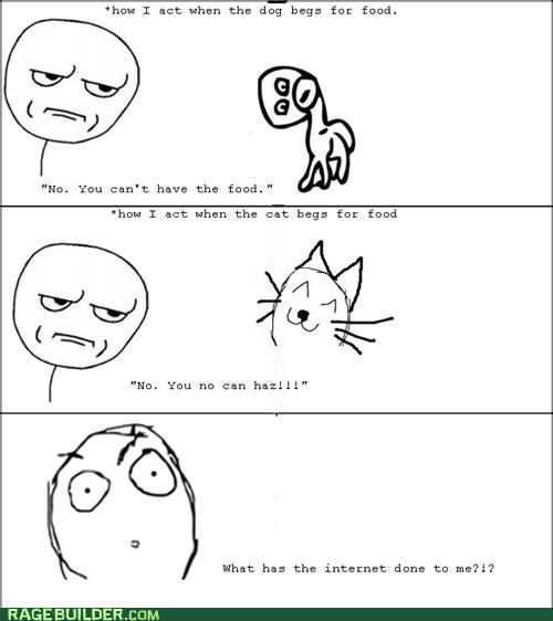 Cats Shouldn't Even Eat Cheeseburgers - Rage Comics - rage comics