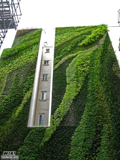 Brother Nature FTW: Garden Wall WIN - WIN! - epic win photos