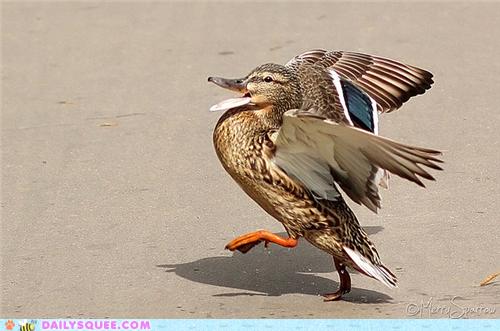 Daily Squee - Cute Animals - Cute Baby Animals - Cute Animal Pictures ...