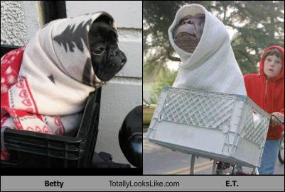 Totally Looks Like - ET - Cheezburger
