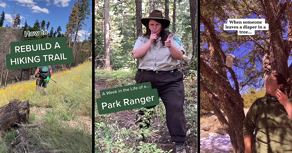 Park Ranger Memes ShredFin ShredFin Added A New Photo.