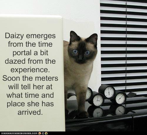 Time Travel - Animal Comedy - Animal Comedy, funny animals, animal gifs