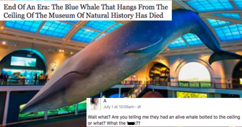 18 Nincompoops Who Raged After Believing The Onion - FAIL Blog - Funny ...