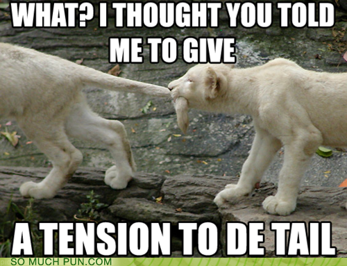 Puns - tail - Funny Puns - Pun Pictures - Cheezburger