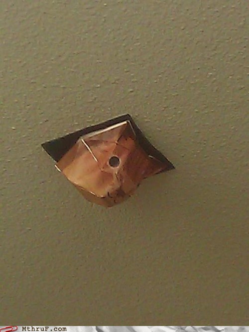 Paper Ceiling Cat is Watching You - Monday Thru Friday - job fails