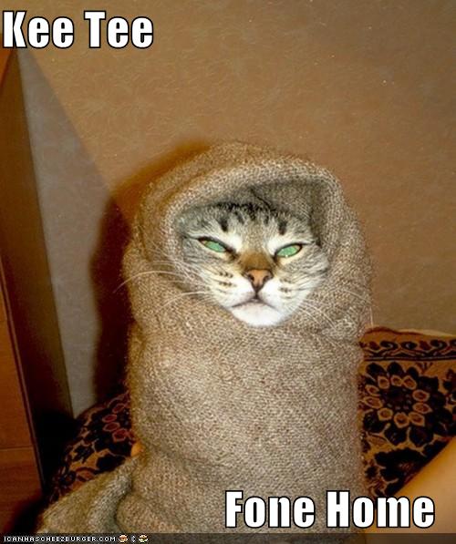 Kee Tee - I Can Has Cheezburger?