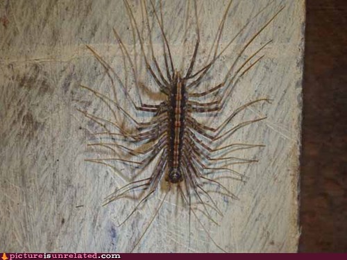 Nightmare Fuel - Picture Is Unrelated - Funny Picture | Funny Video ...