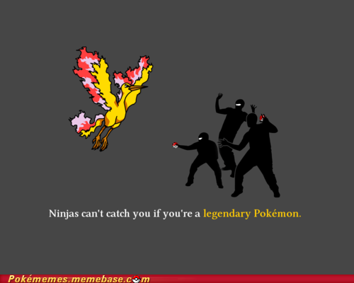 Pokémemes - legendary pokemon - Pokemon Memes - Pokémon, Pokémon GO ...