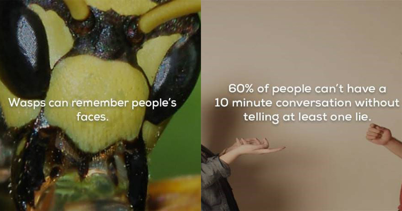 22 Uncomfortable Facts That Will Make You Feel All Kinds Of Weird ...