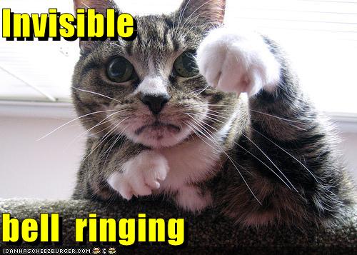 I Can Has Cheezburger? - invisible - Page 5 - Funny Animals Online ...
