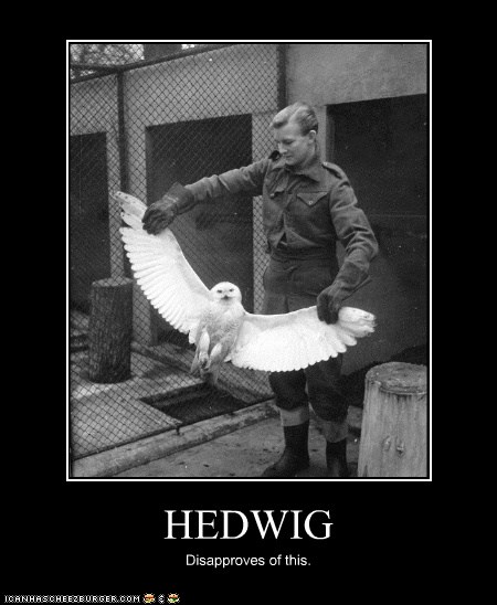 Historic LOLs - historic lols - funny pictures history - Cheezburger