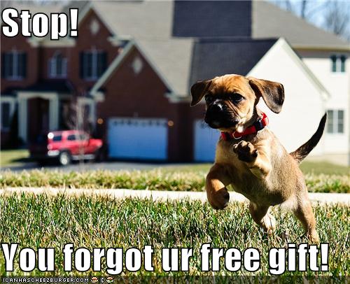 Stop! - I Has A Hotdog - Dog Pictures - Funny pictures of dogs - Dog ...