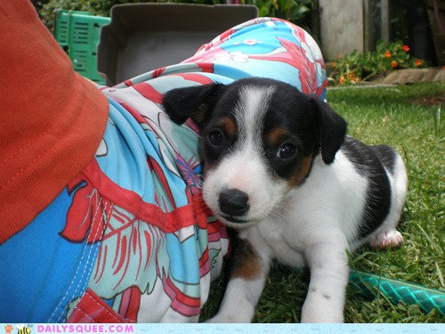 Daily Squee - Cute Animals - Cute Baby Animals - Cute Animal Pictures ...