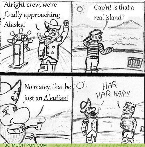 Puns - island - Funny Puns - Pun Pictures - Cheezburger