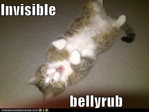 I Can Has Cheezburger? - invisible - Page 5 - Funny Animals Online ...