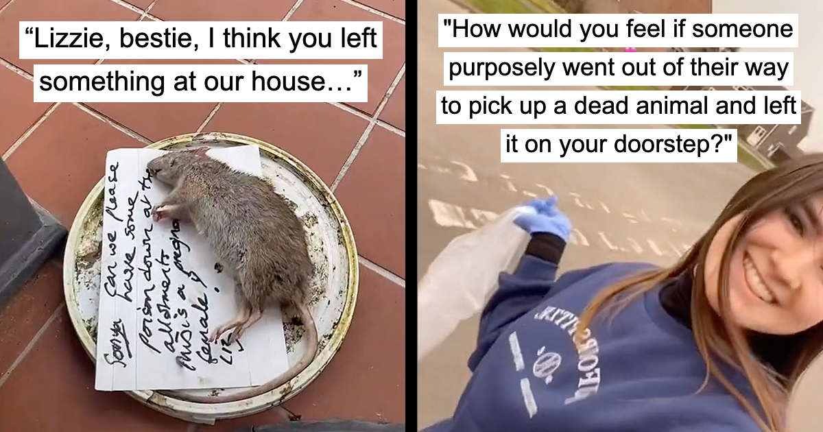 FAIL Blog - rat-problem - Epic FAILs funny videos - Funny Fails ...