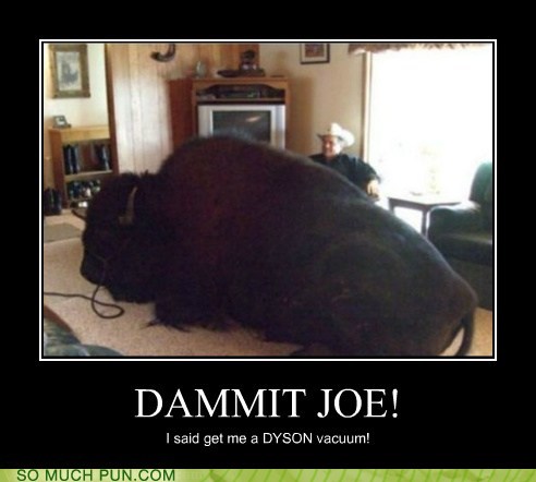 Puns - bison - Funny Puns - Pun Pictures - Cheezburger