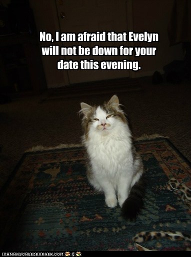 Now, Go Home. - Animal Comedy - Animal Comedy, funny animals, animal gifs