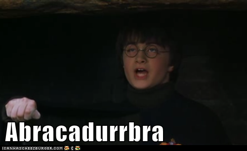 Derp - are you a wizard - Derp Face Derps - hurr durr derp face - derp ...