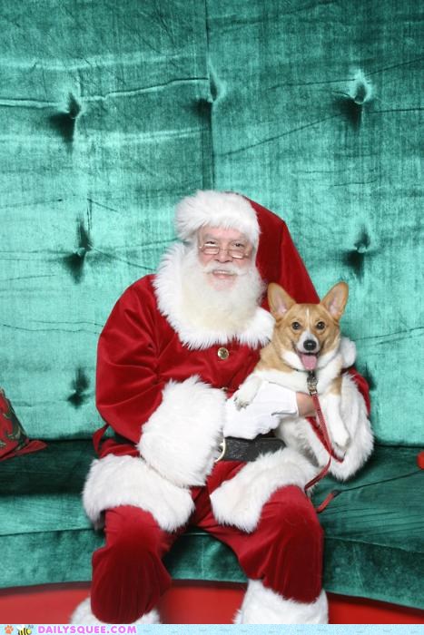 Daily Squee - Cute Animals - Cute Baby Animals - Cute Animal Pictures ...