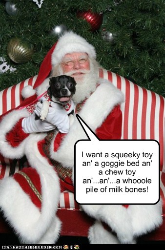 On Santa's lap... - I Has A Hotdog - Dog Pictures - Funny pictures of ...