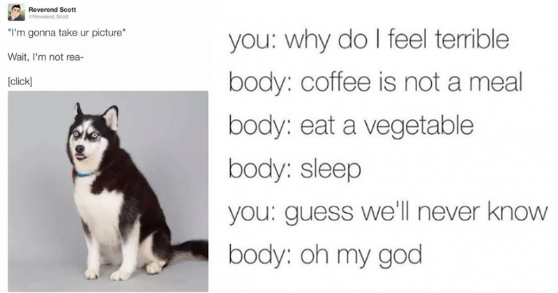 30 Entertaining Memes To Give You A Refreshing Guffaw - Memebase ...