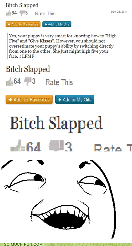 Puns - high five - Funny Puns - Pun Pictures - Cheezburger
