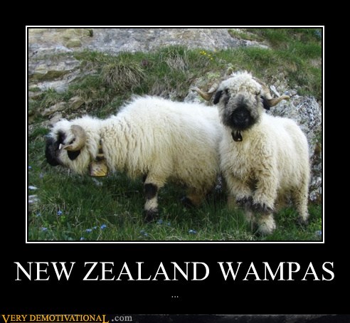 Very Demotivational - new zealand - Very Demotivational Posters - Start ...