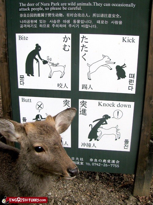 Engrish Funny: They will eat your face off if you're not careful - FAIL ...