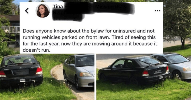 Toxic Lying Neighbor Gets Put In Place By Neighbor - FAIL Blog - Funny ...