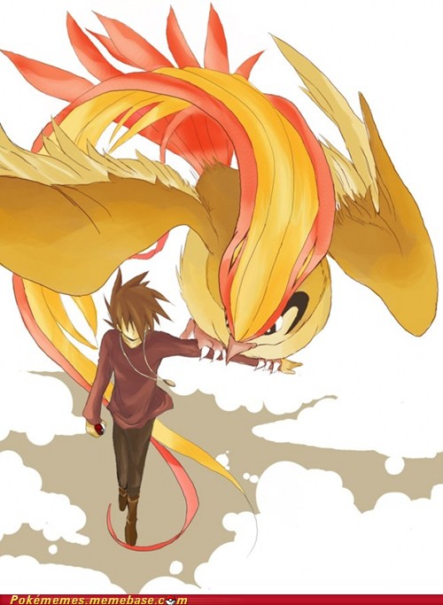 Pokémemes - pidgeot - Pokemon Memes - Pokémon, Pokémon GO - Cheezburger