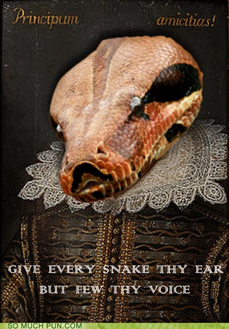 Puns - snake - Funny Puns - Pun Pictures - Cheezburger
