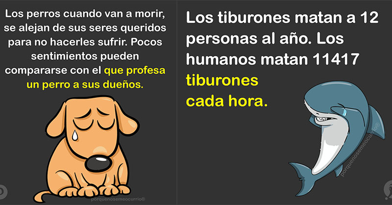20 curiosidades sorprendentes del mundo animal - Loquillo