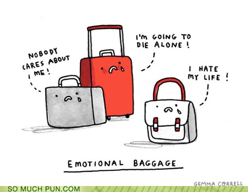 Puns - misinterpretation - Funny Puns - Pun Pictures - Cheezburger