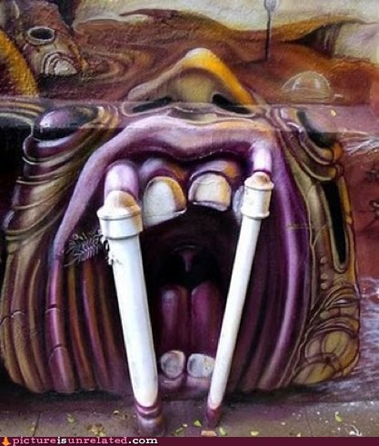 Lolrus? It's Been a Long Time... - Picture Is Unrelated - Funny Picture ...