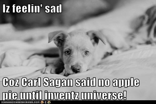 Iz feelin' sad - I Has A Hotdog - Dog Pictures - Funny pictures of dogs ...
