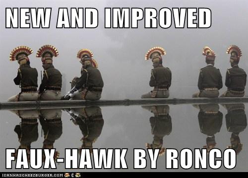 I'LL TAKE 10, PLEASE - Animal Comedy - Animal Comedy, funny animals ...