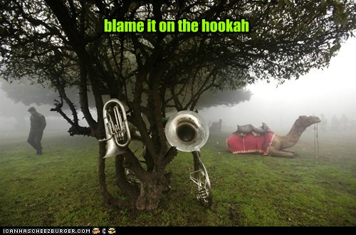 Magic Carpet Ride - Politics - political memes